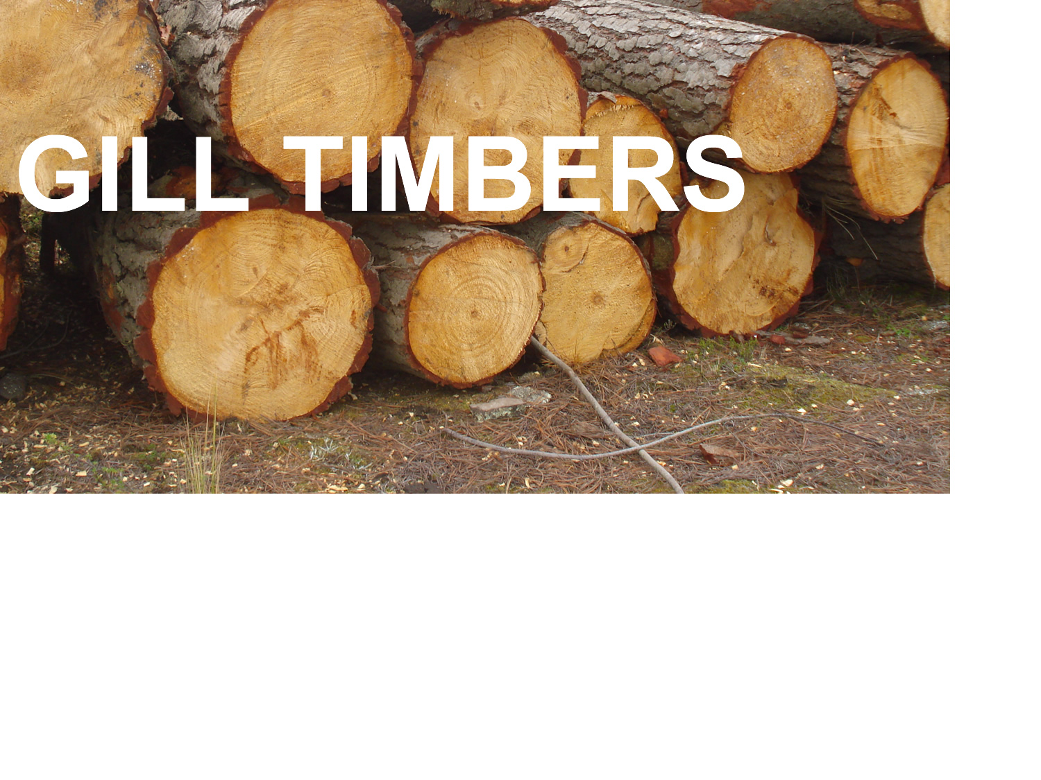 Timber and Lumber Export Offers – Gill Timbers International – Business ...