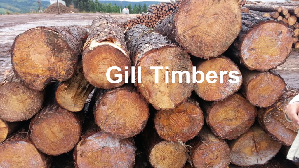 Timber and Lumber Export Offers – Gill Timbers International – Business ...