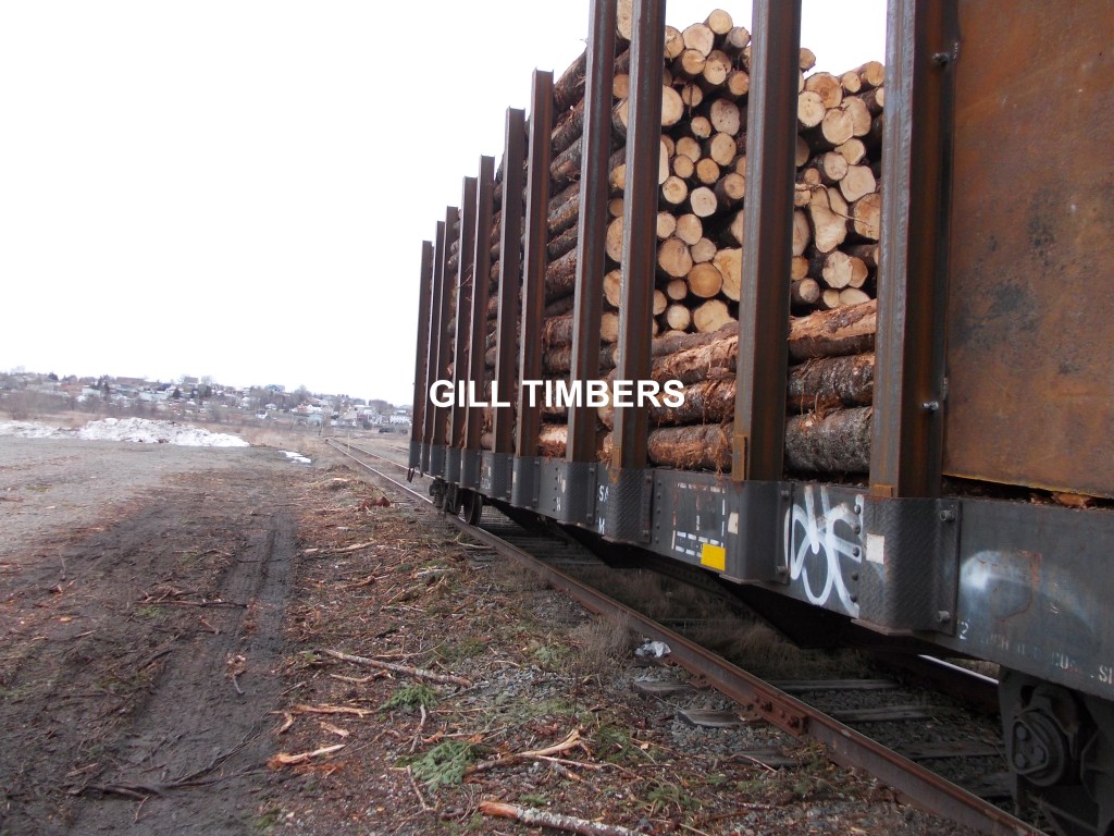 Timber and Lumber Export Offers – Gill Timbers International – Business ...