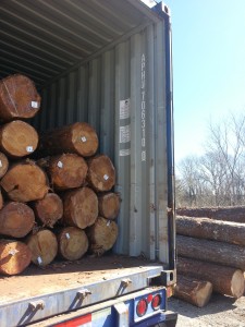 Timber and Lumber Export Offers – Gill Timbers International – Business ...