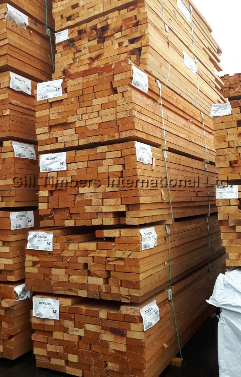 Timber and Lumber Export Offers – Gill Timbers International – Business ...