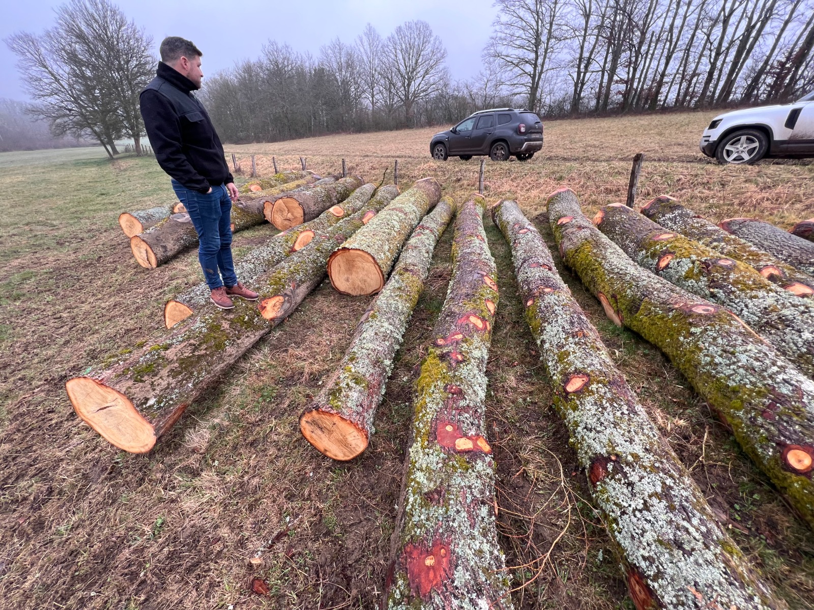 Gill Timbers Loading OAK LOGS