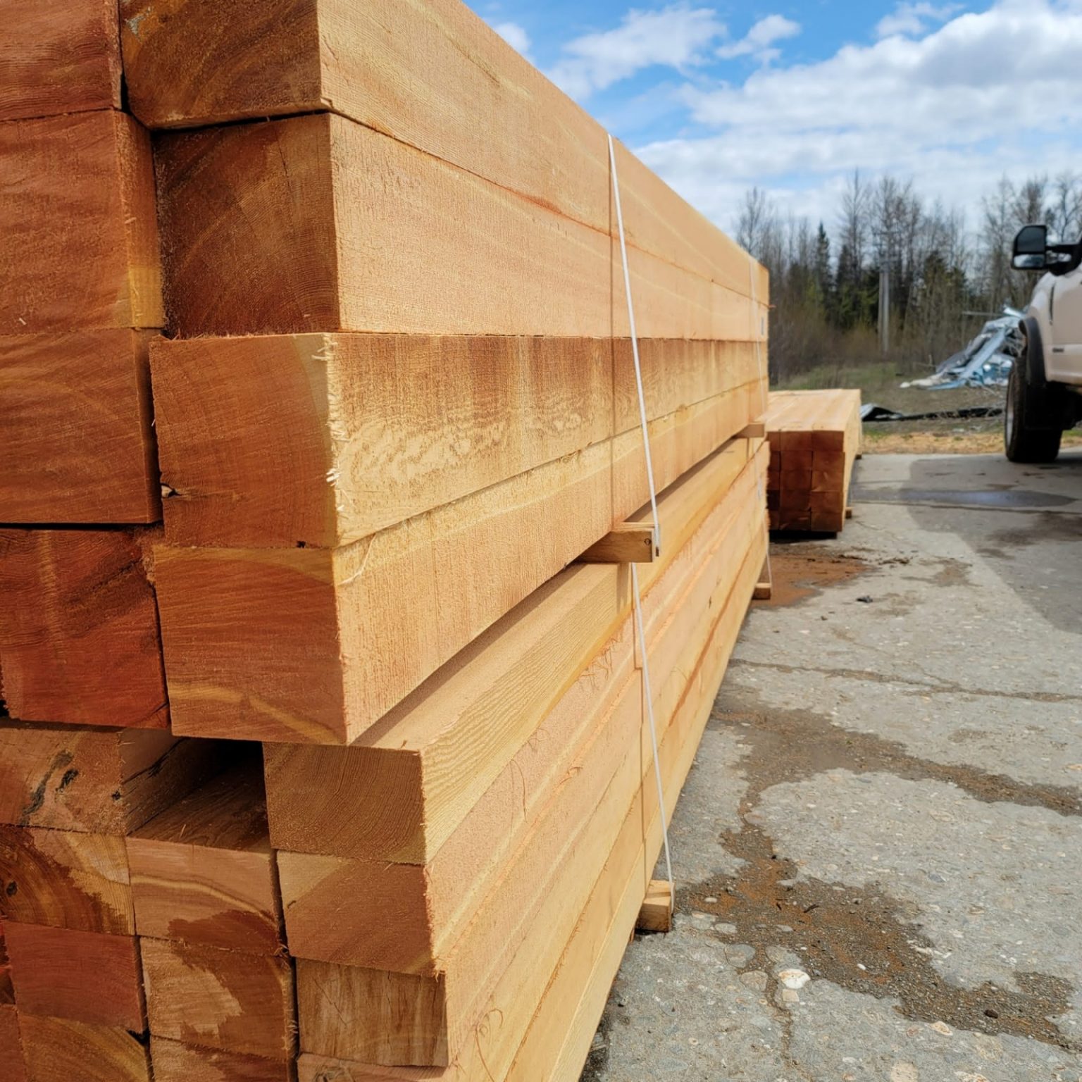 Exporting Douglas Fir to Australia