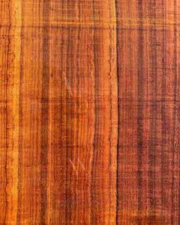 Gidgee Wood- Australian Hardwoods
