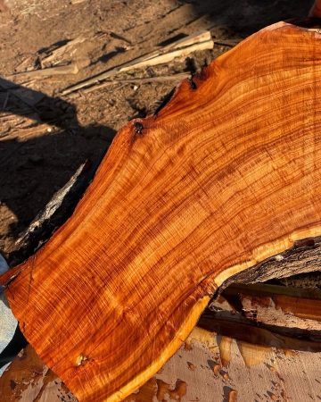 Mulga Wood- Hardwoods Australia